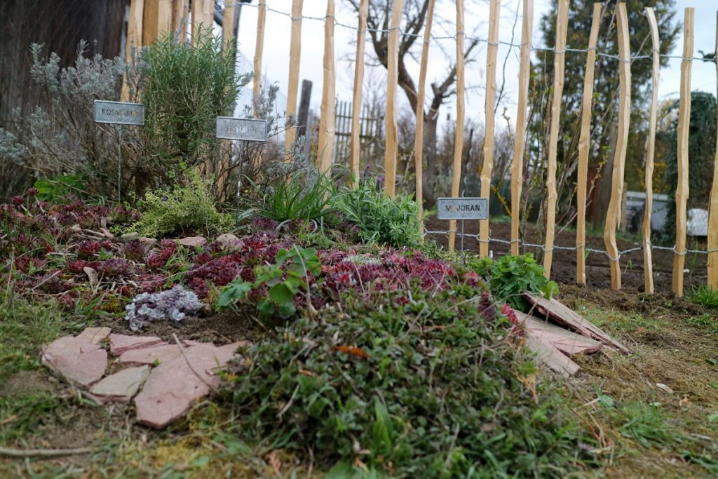 Mediterranes Trockenbeet - Hortus Delirantium