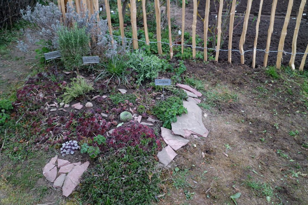 Mediterranes Trockenbeet - Hortus Delirantium