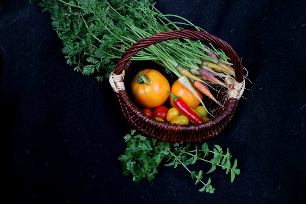 Ernte 2019 (Juli - September) - Hortus Delirantium