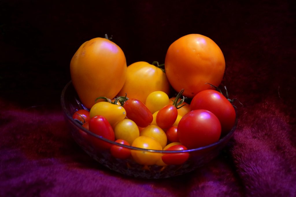 Ernte 2019 (Juli - September) - Hortus Delirantium